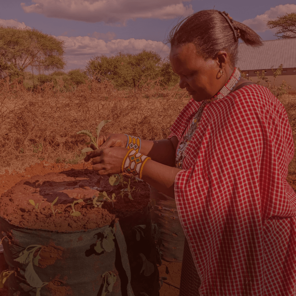 Sustainable Garden Towers – Mulika Afrika